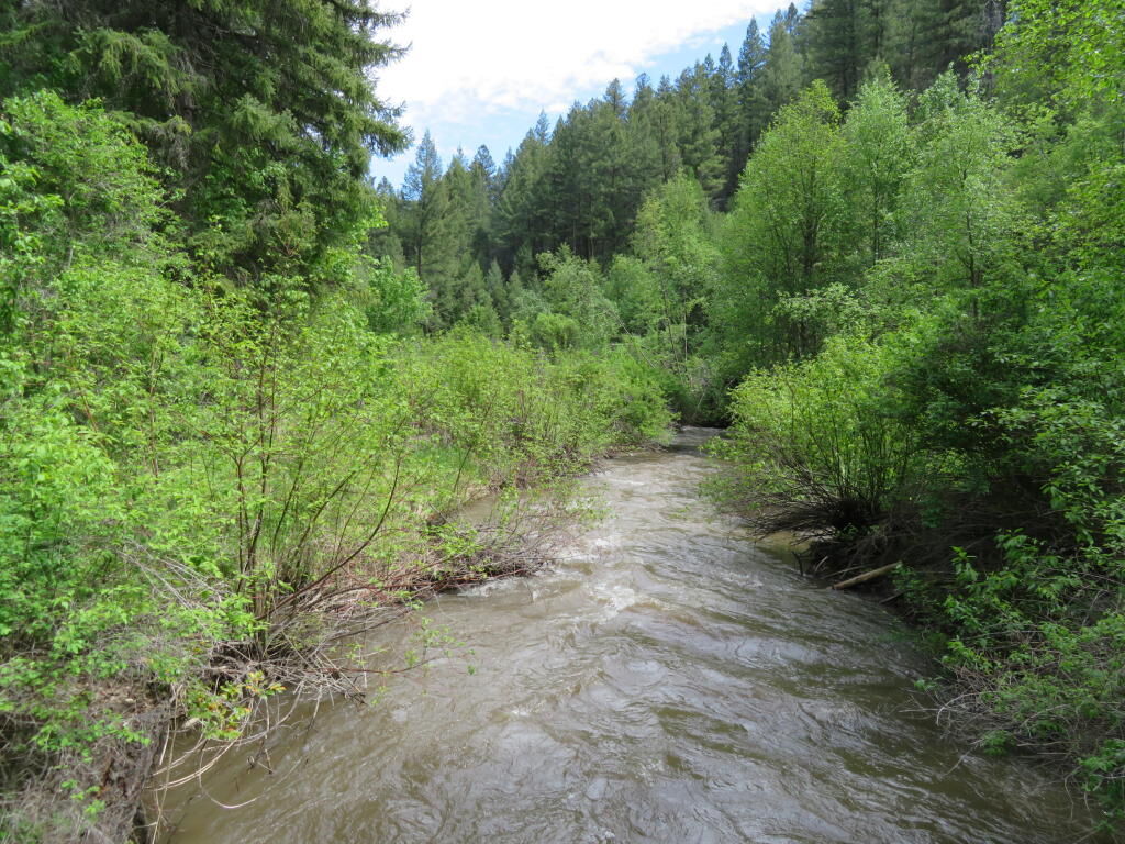 MLS#32990: Tbd Toroda Cr. Rd, Curlew, WA 99118