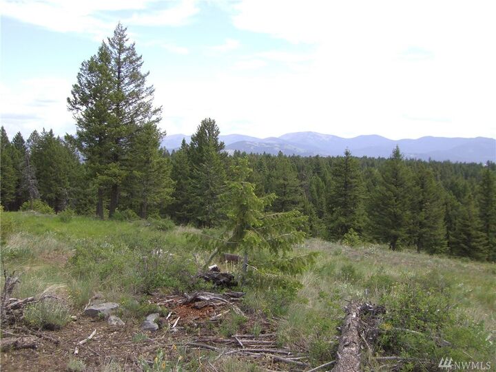MLS#1716796: Lot 147 Union Ridge Rd, Republic, WA 99166