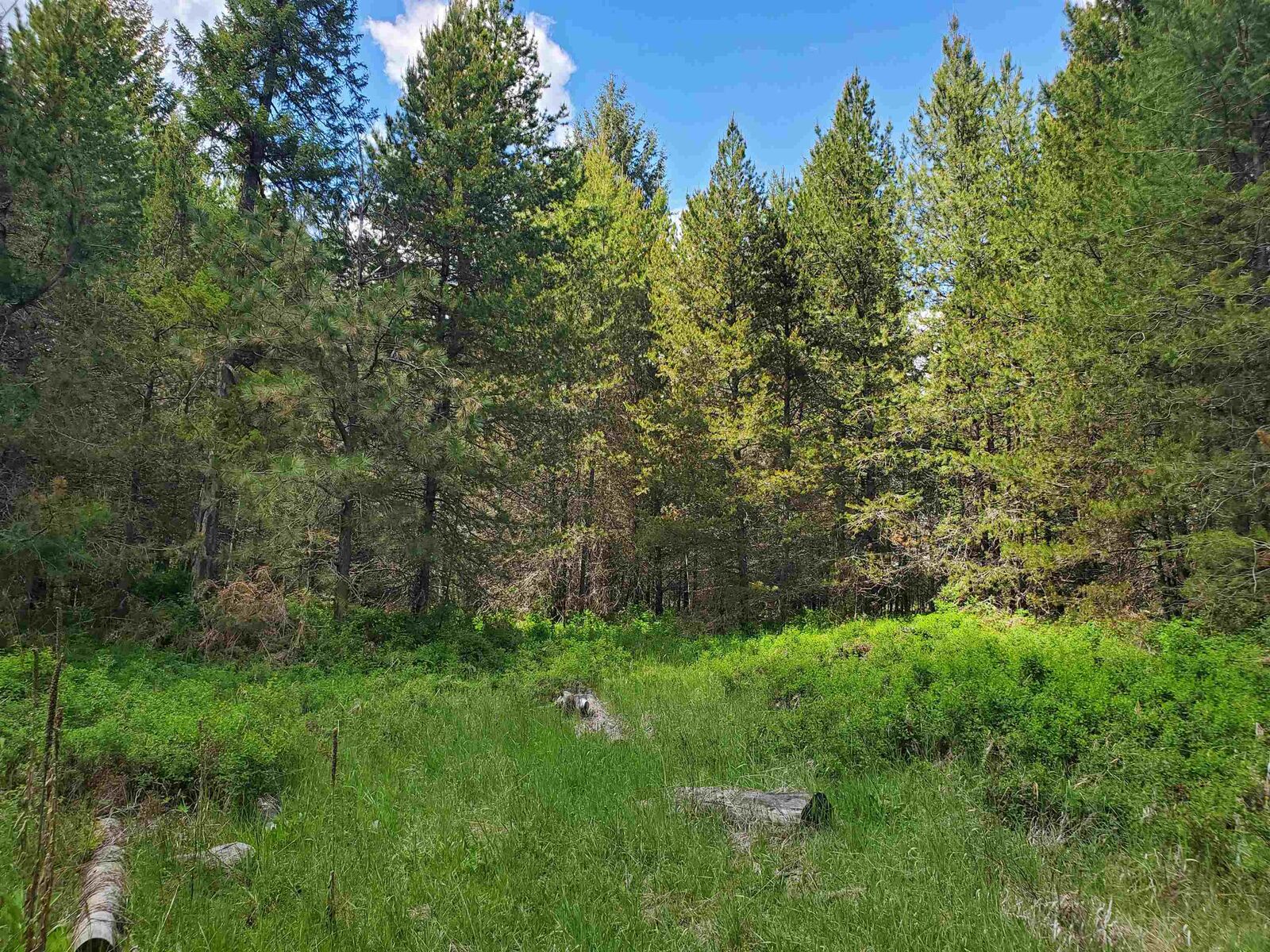 MLS#202517286: 000 N Nicole Ln, Elk, WA 99009