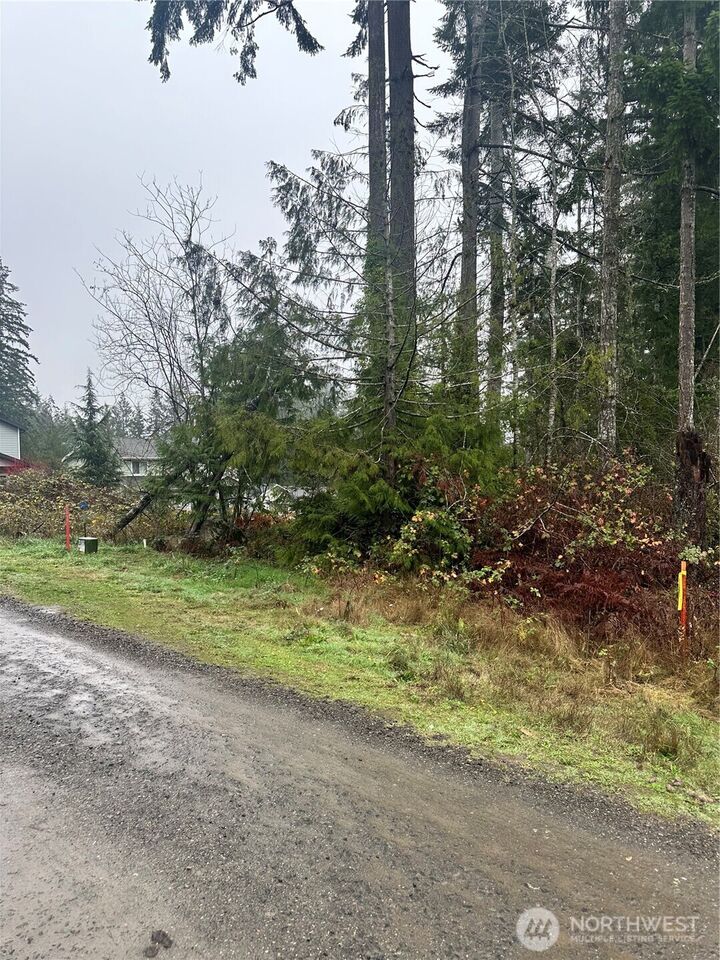 MLS#2460535: 0 Xxx E Wheelwright Street N, Allyn, WA 98524